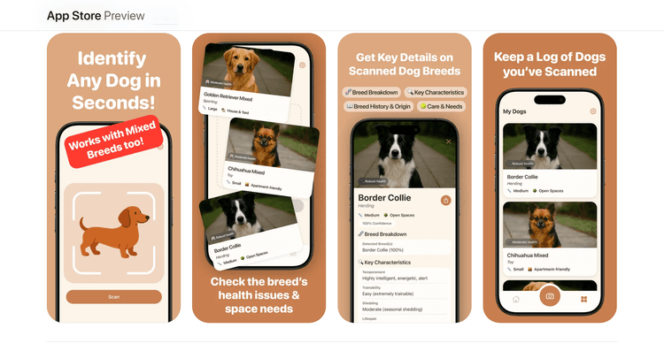 DogPic AI狗识别器 - 在线识别狗狗品种与护理指南